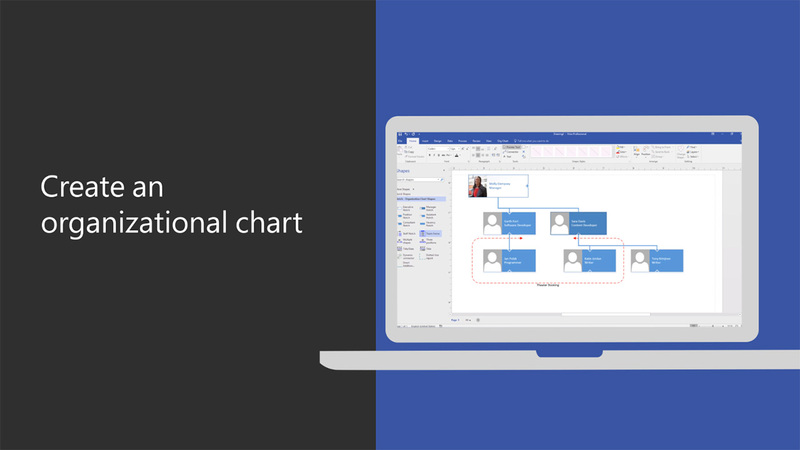 Microsoft Organisational Chart